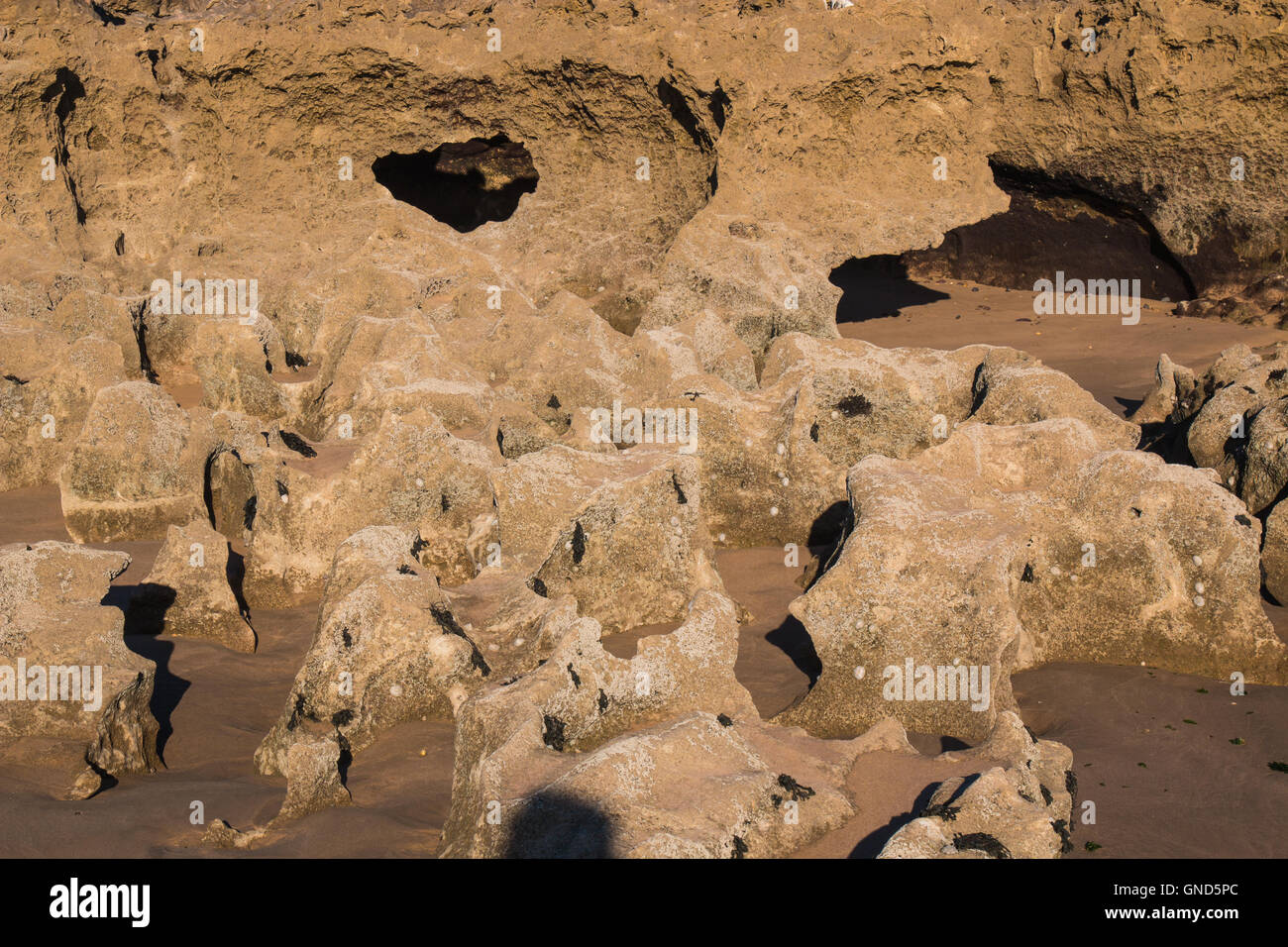 Rocks with sharp edges and holes on the beach of Atlantic Ocean in ...