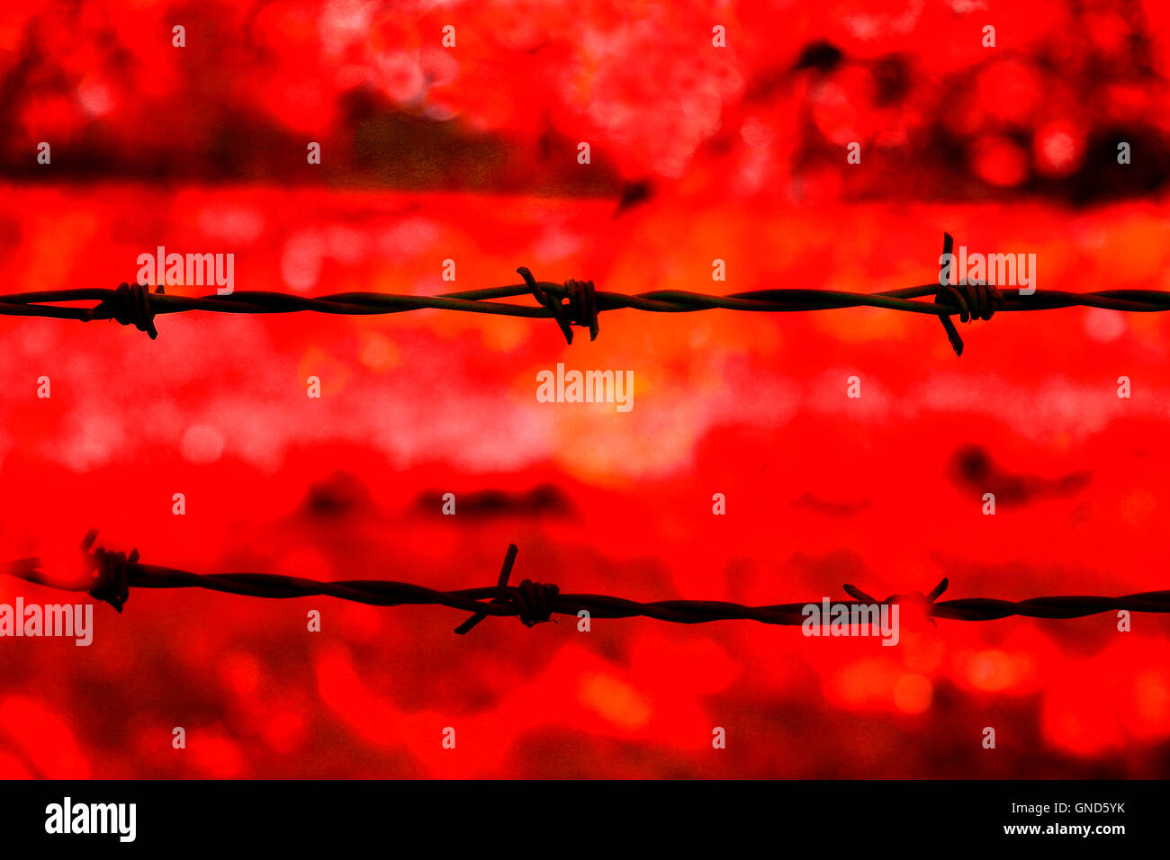 Red barbed wire hi-res stock photography and images - Alamy