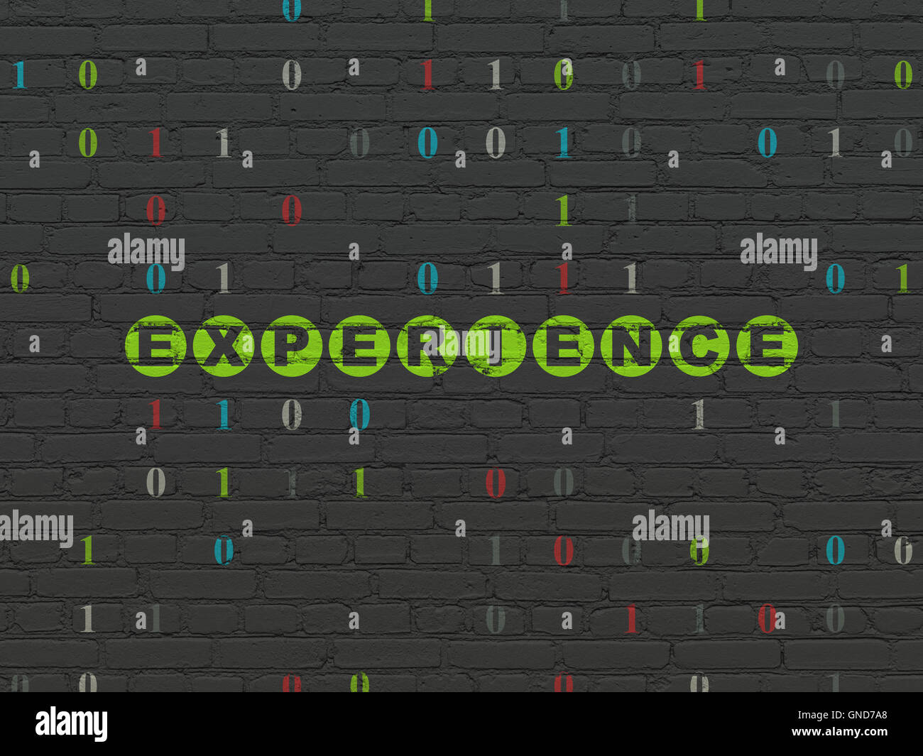 Finance concept: Experience on wall background Stock Photo - Alamy
