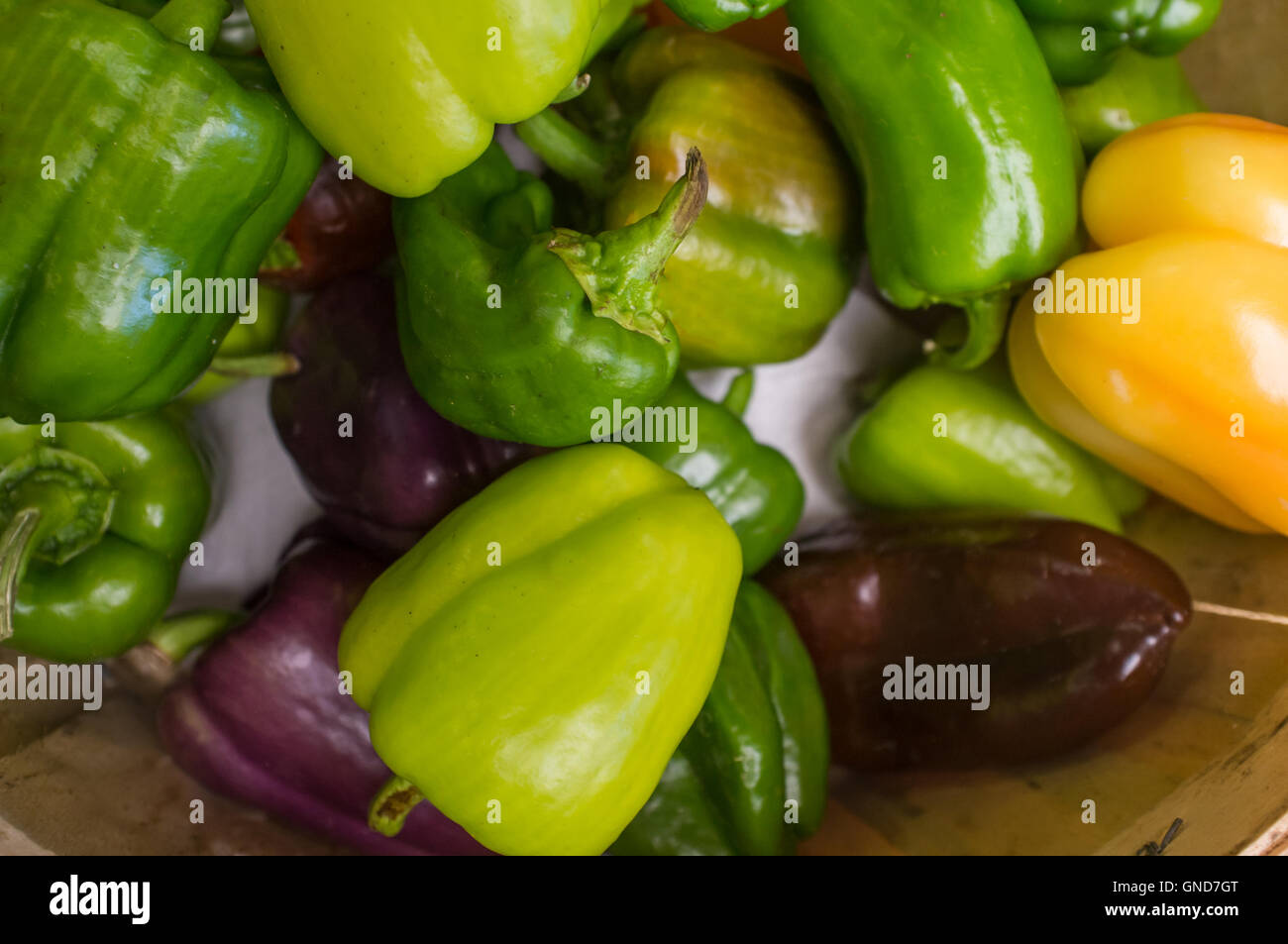 Assorted organic colorful bell peppers on display at local farmers ...