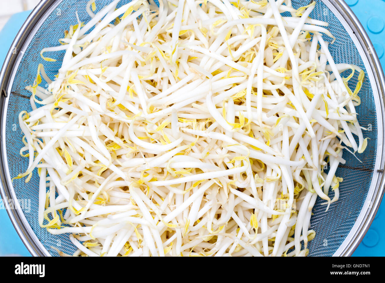 Bean sprouts background Stock Photo - Alamy
