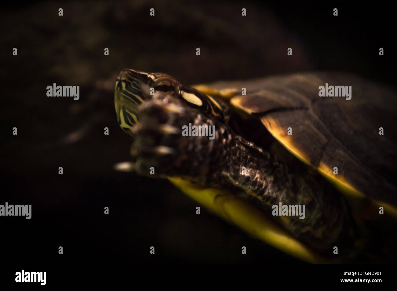 Midland map hi-res stock photography and images - Alamy