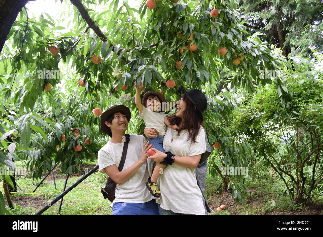 young family is smiling at peach orchard Stock Photo - Alamy