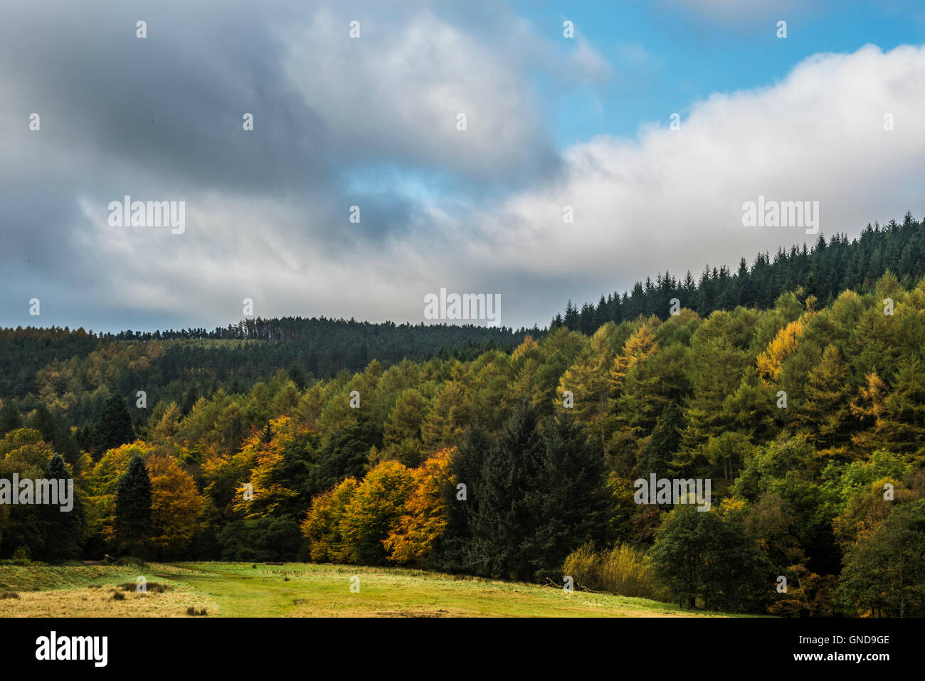 View down the Derwent Valley Stock Photo - Alamy