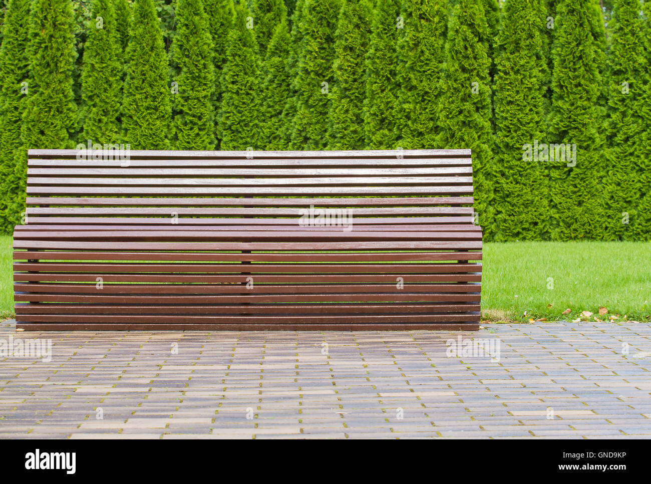 Wood bench texture hi-res stock photography and images - Alamy