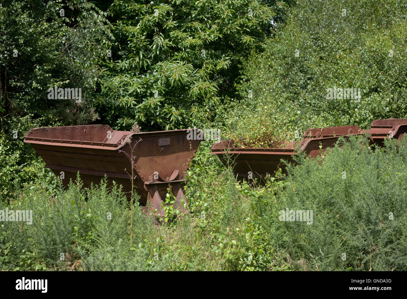 Rusting hoppers in greenery at South Downs view stop on Quarry railway ...