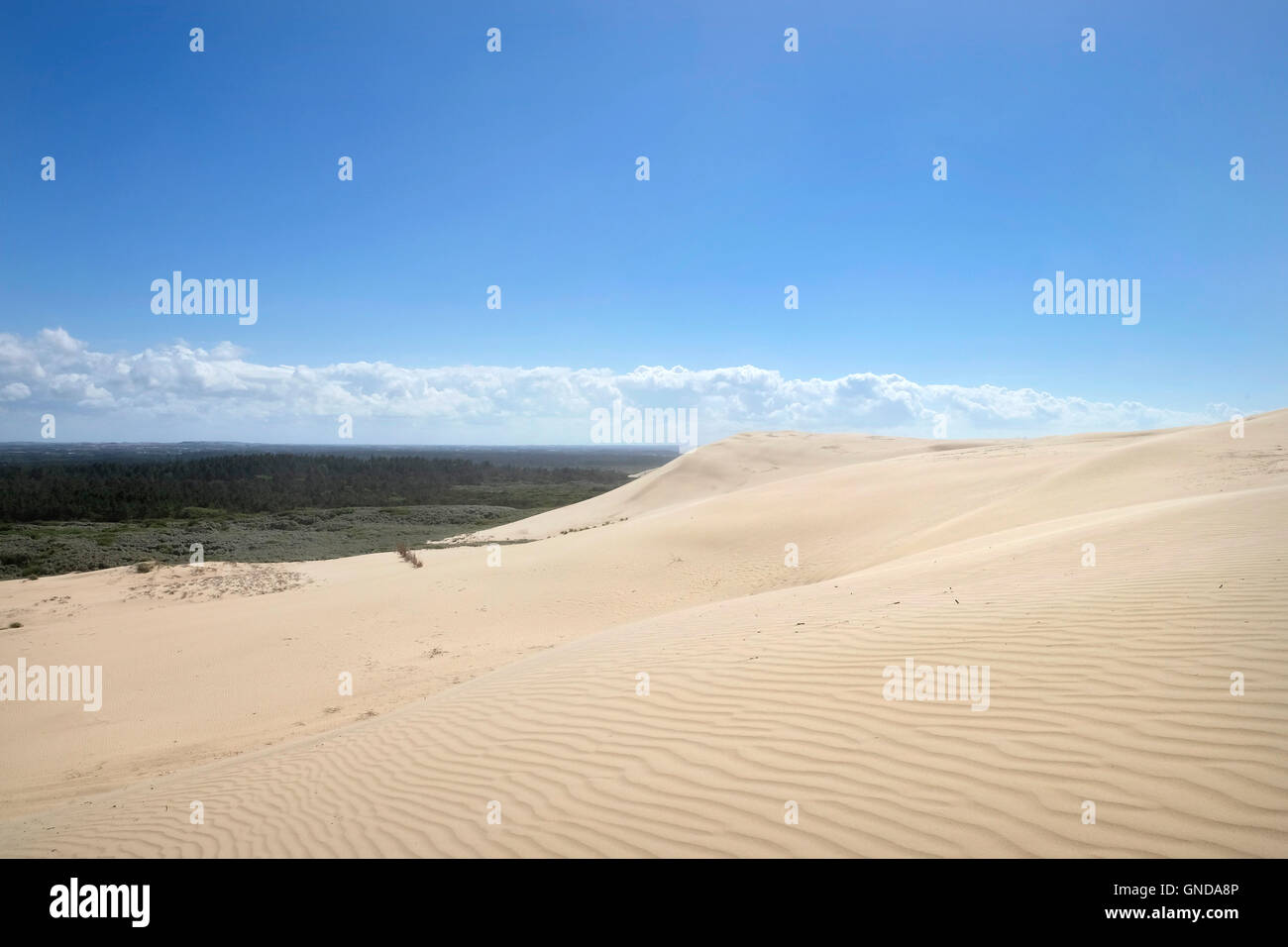 Denmark, Lonstrup, Landscape Stock Photo - Alamy