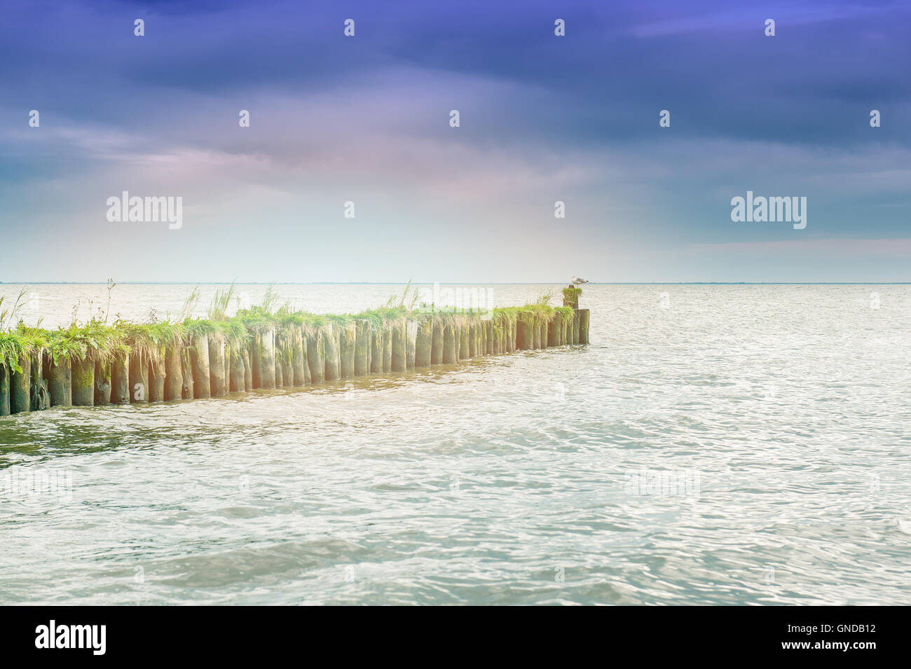 Beach pebbles cliff breakwater hi-res stock photography and images - Alamy