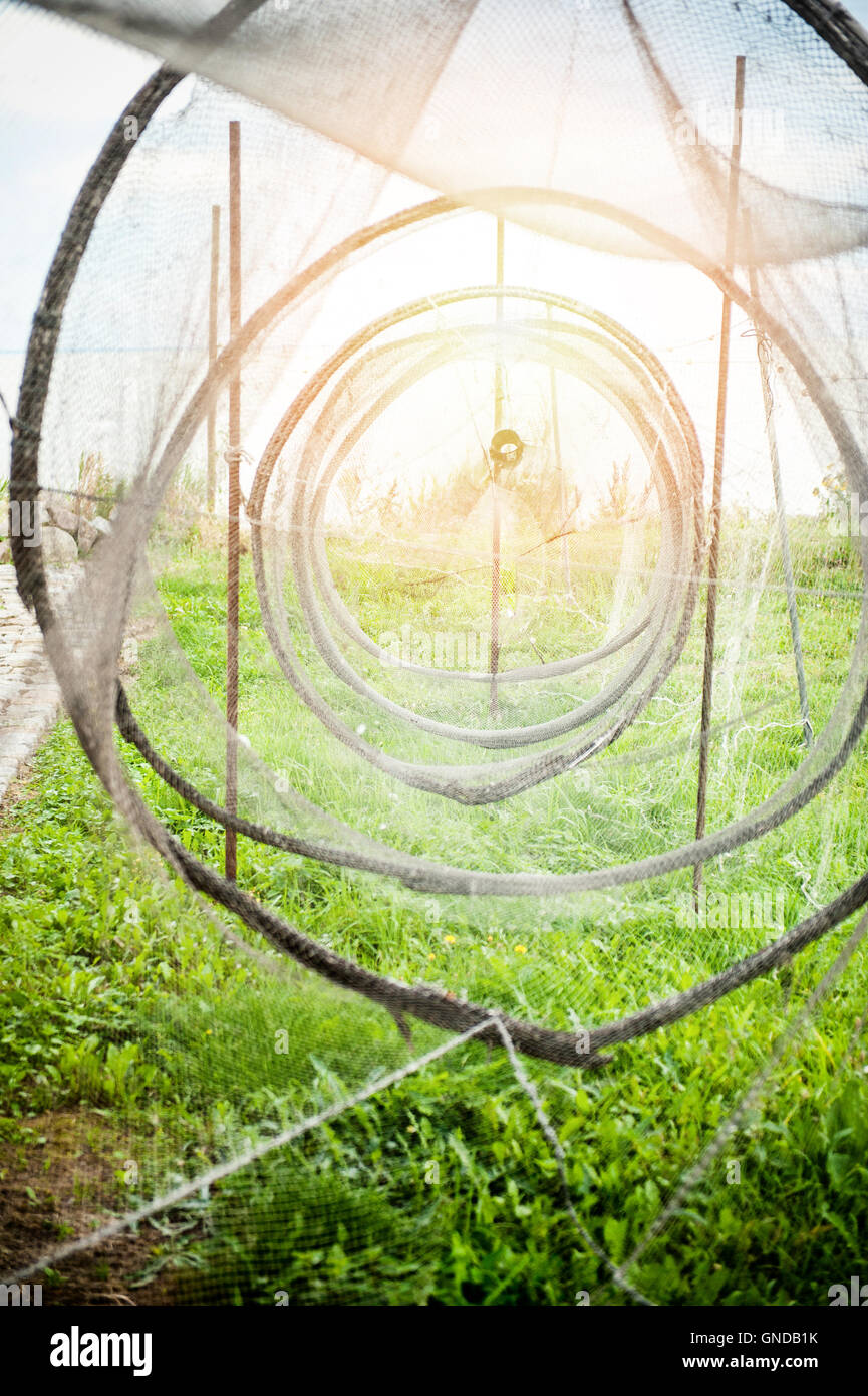 An image of fishing net Stock Photo - Alamy