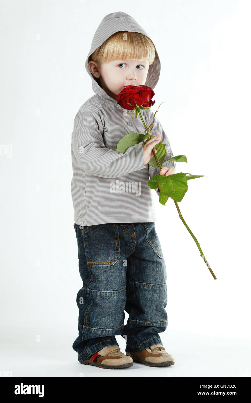 little beautiful boy with rose isolated Stock Photo - Alamy
