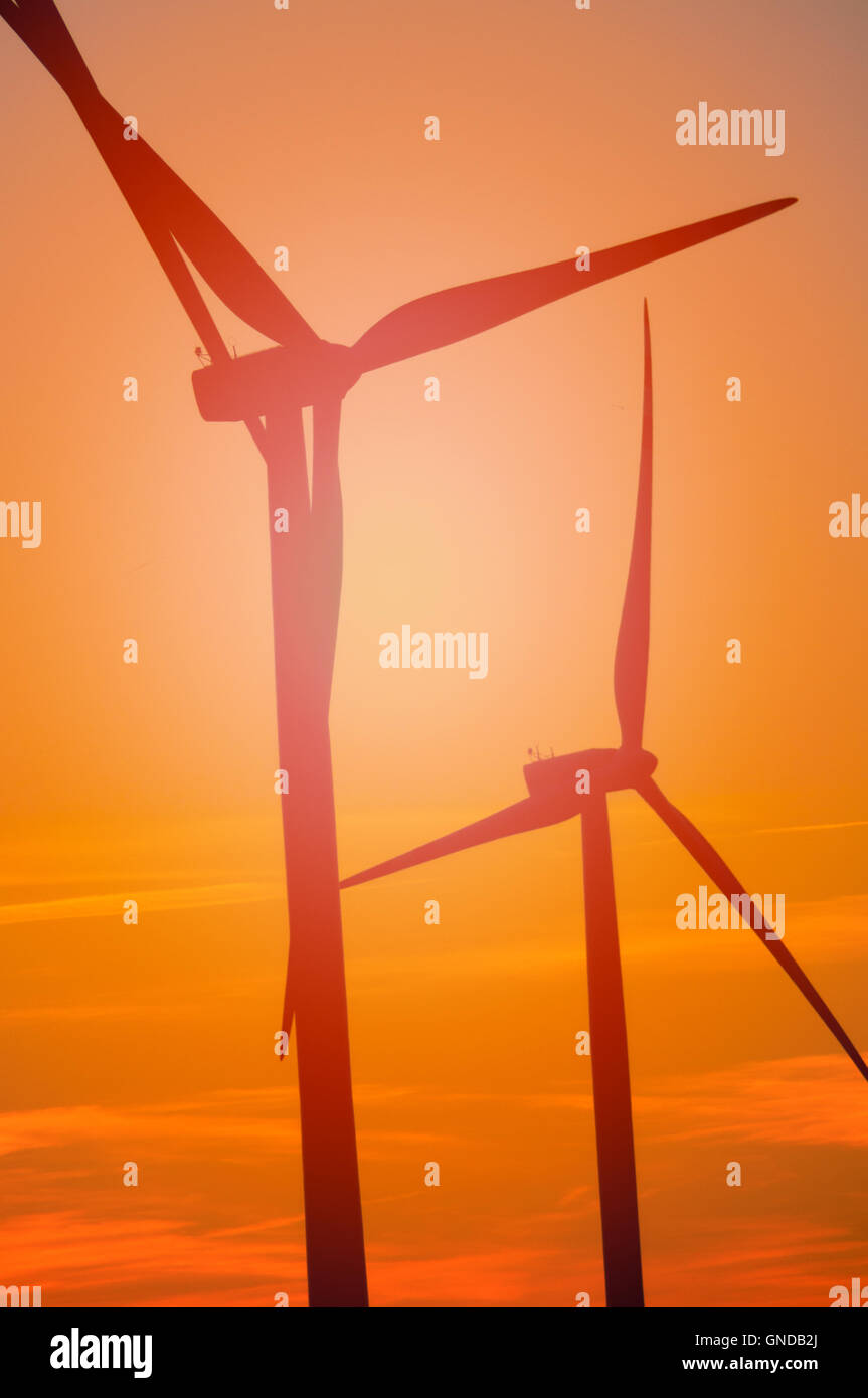 Wind turbine farm with rays of light at sunset Stock Photo - Alamy