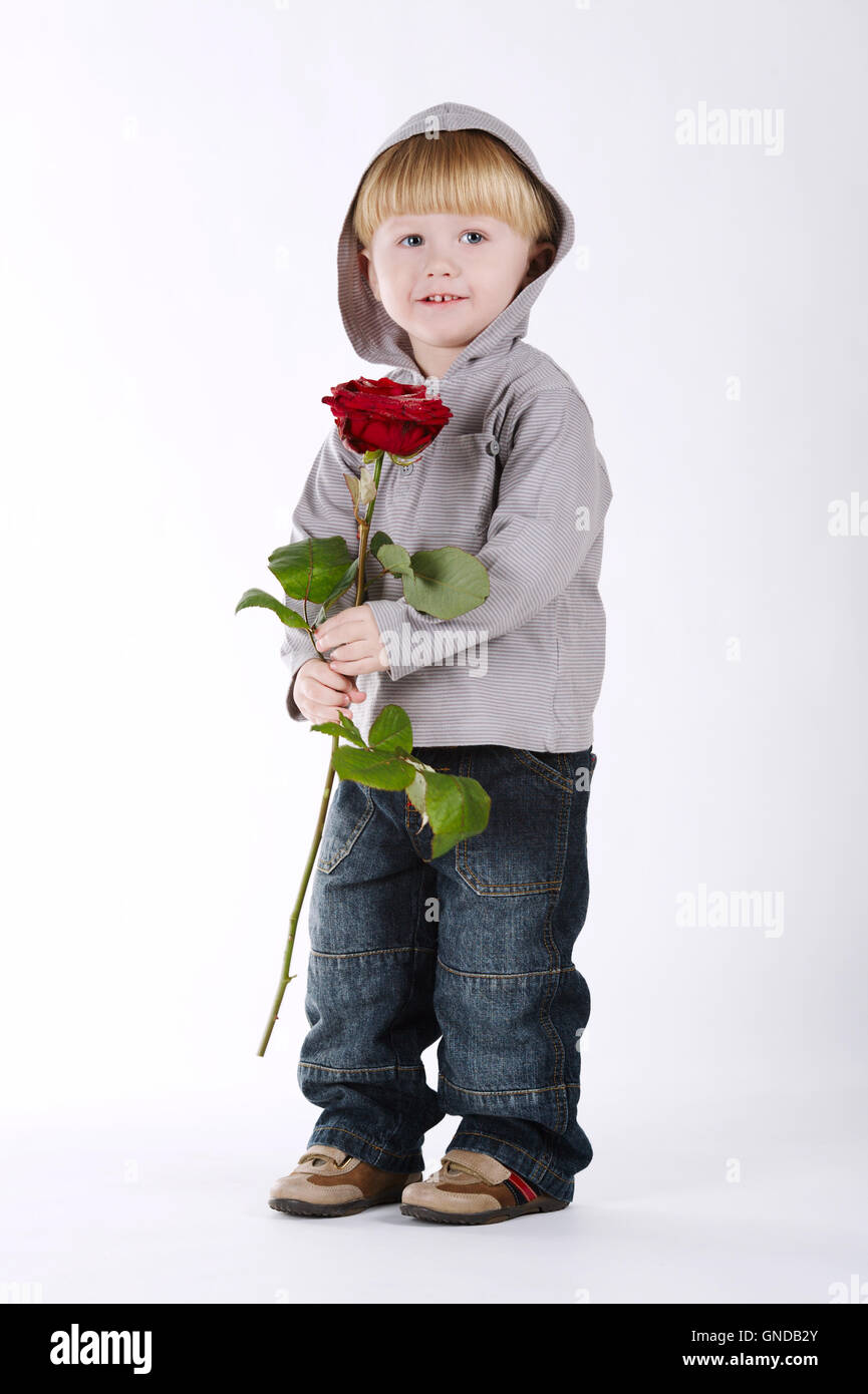 little boy with rose on white Stock Photo - Alamy