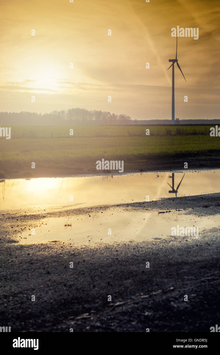 Wind turbine farm with rays of light at sunset Stock Photo - Alamy