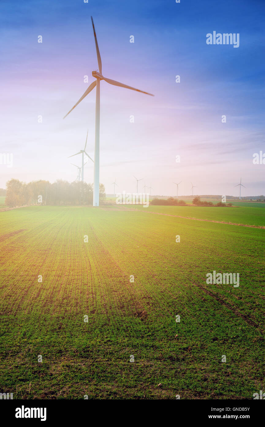 Wind turbine farm with rays of light at sunset Stock Photo - Alamy