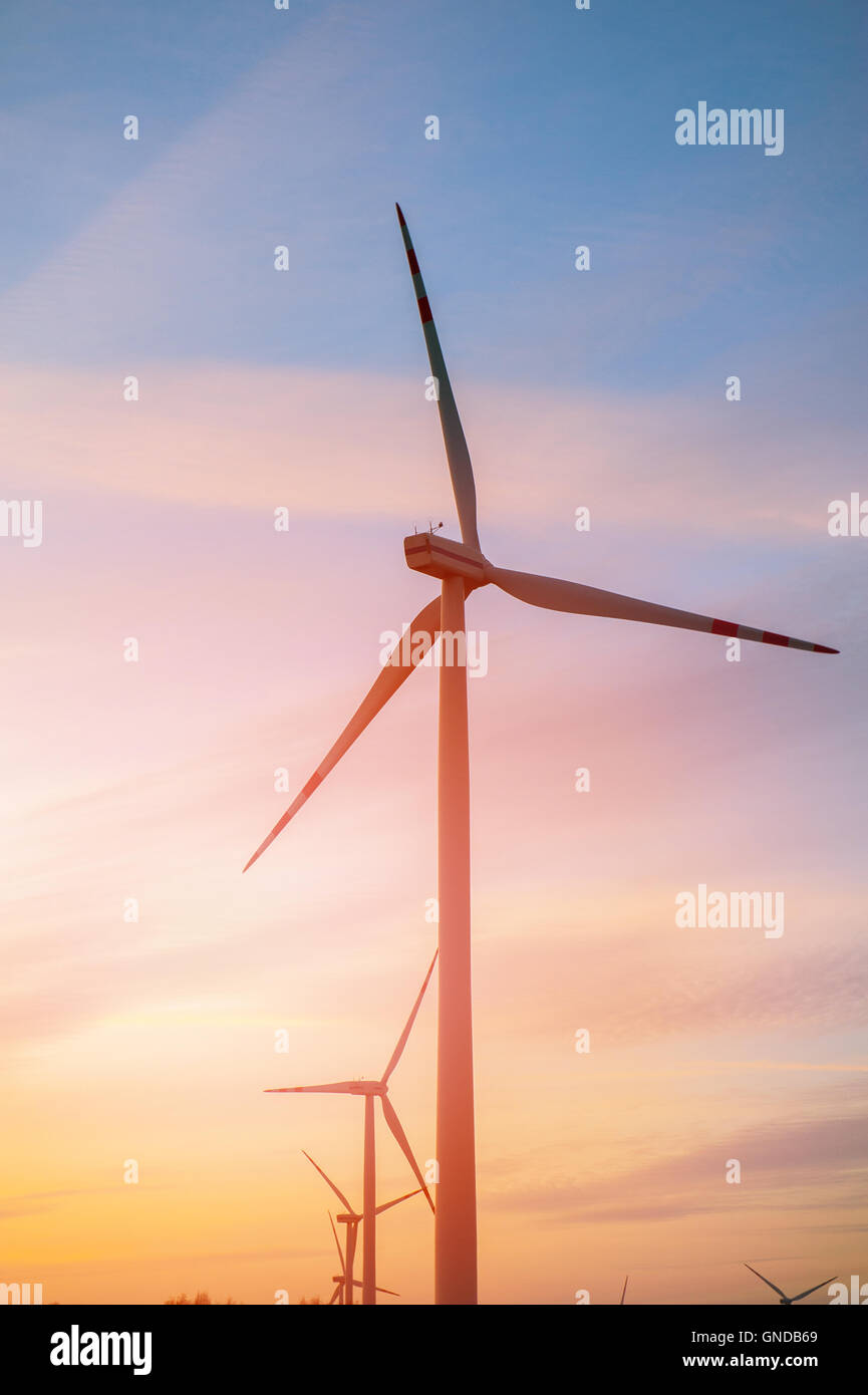 Wind turbine farm with rays of light at sunset Stock Photo - Alamy