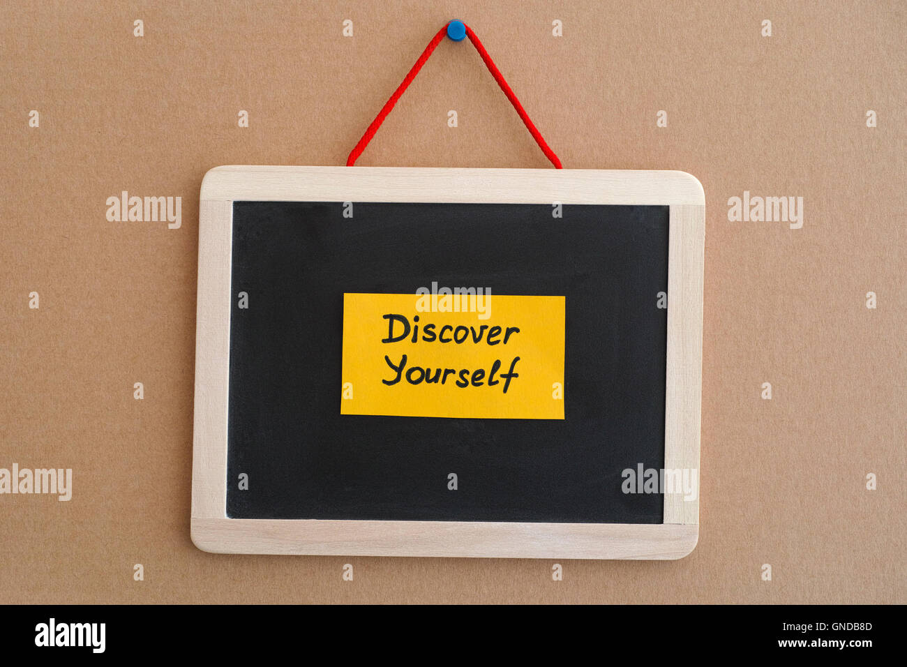 Discover Yourself Logo
