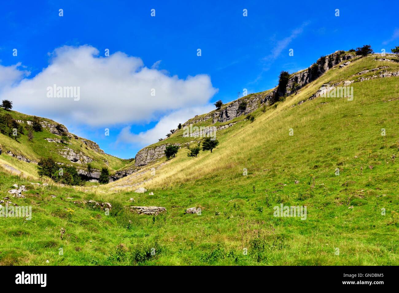 Dale green fields hi-res stock photography and images - Alamy