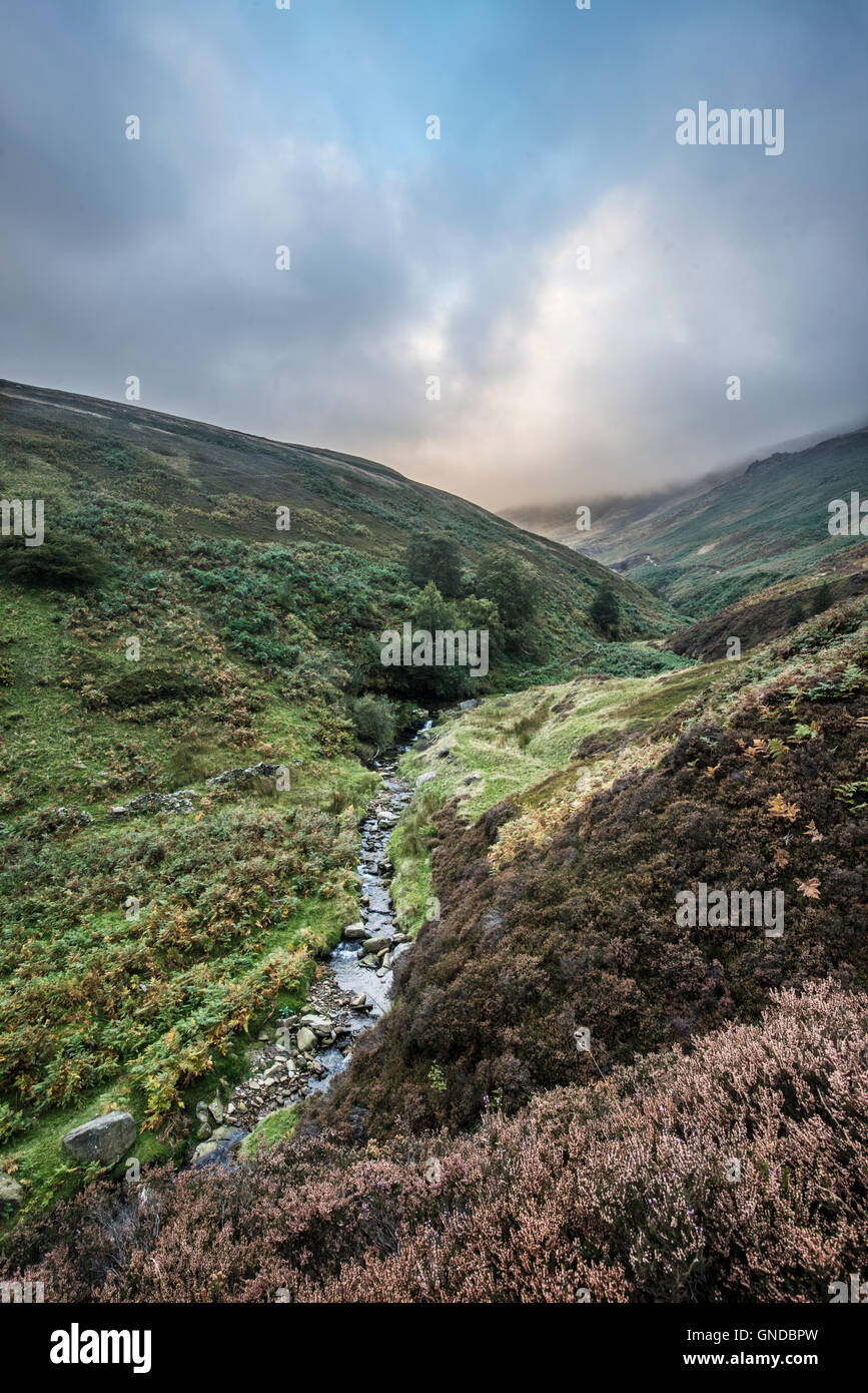 Grindsbrook in the Peak District Stock Photo - Alamy