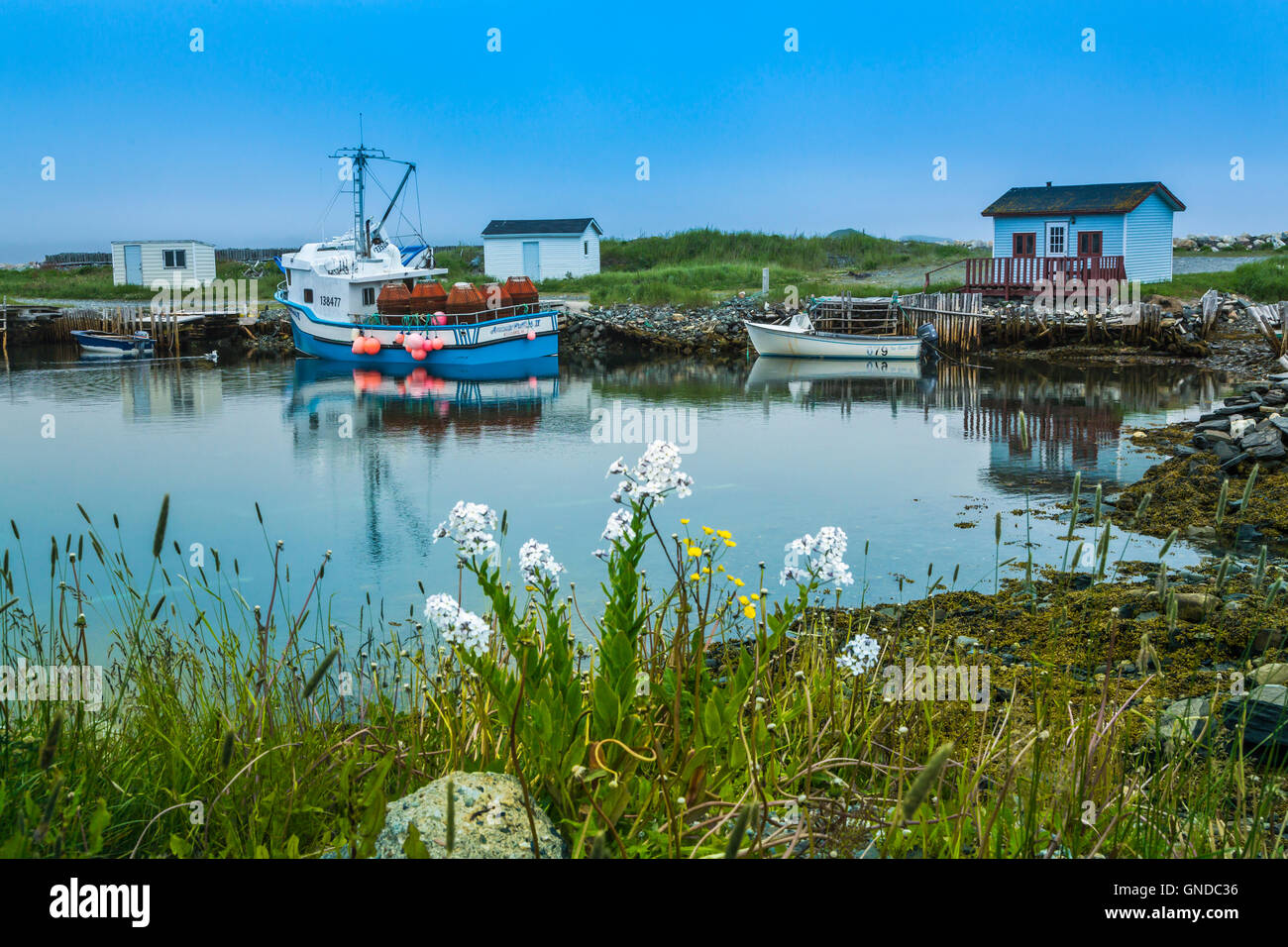 A small harbor with fishing boats at Ferryland, Newfoundland and ...
