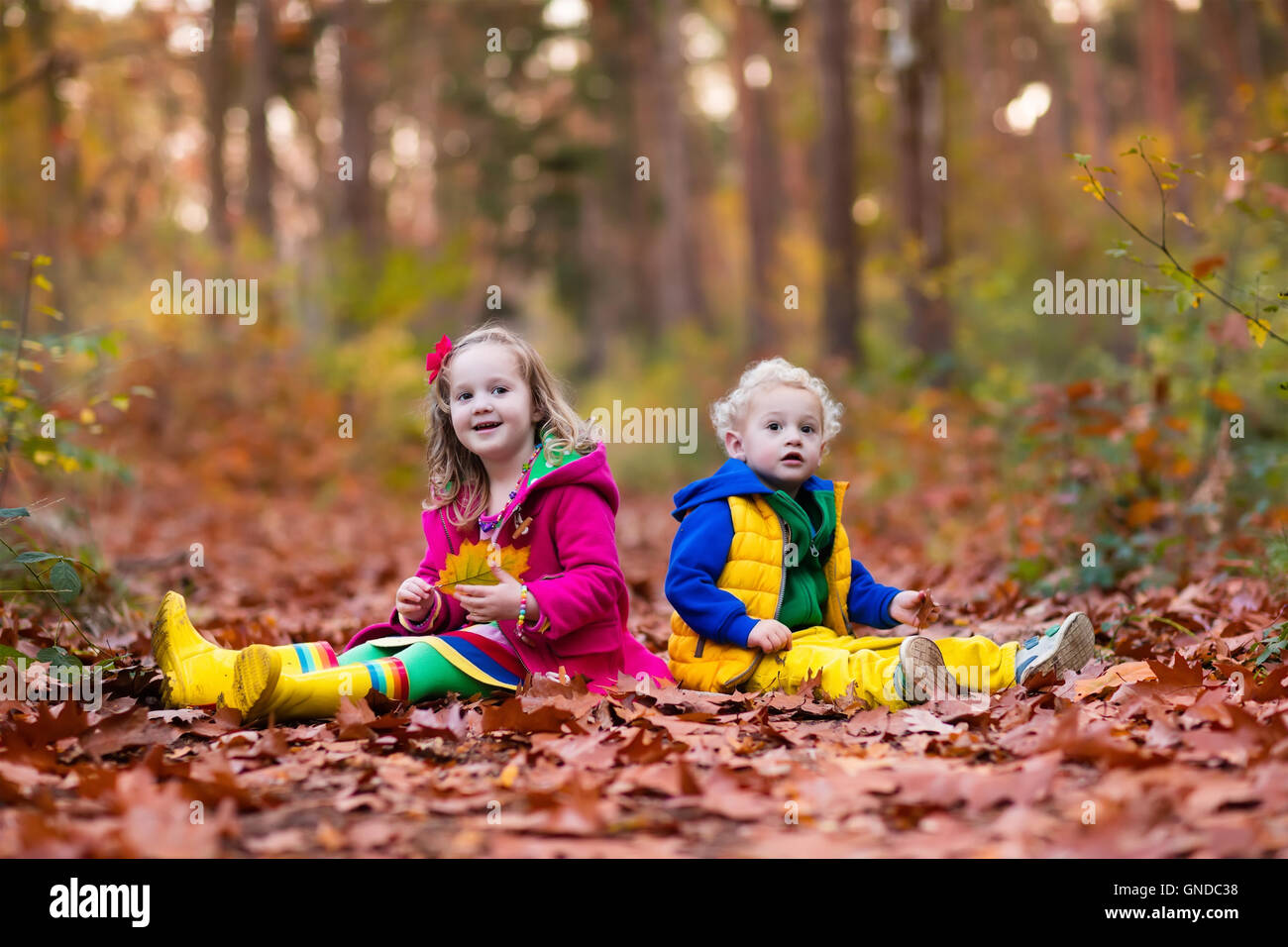 Happy children playing in beautiful autumn park on cold sunny fall day ...