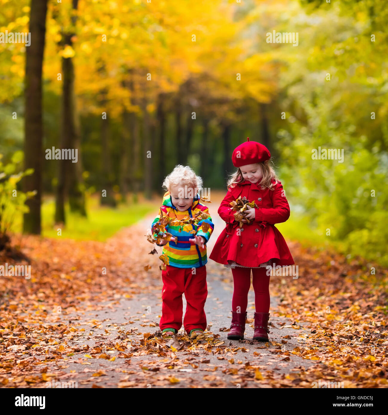 Happy children playing in beautiful autumn park on warm sunny fall day ...