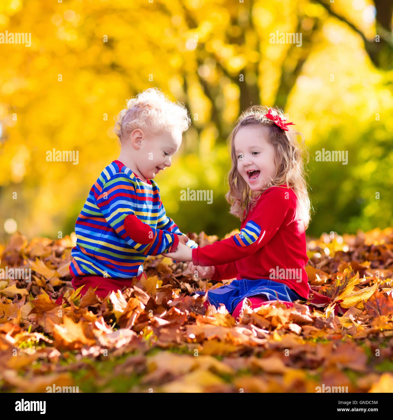 Happy children playing in beautiful autumn park on warm sunny fall day ...