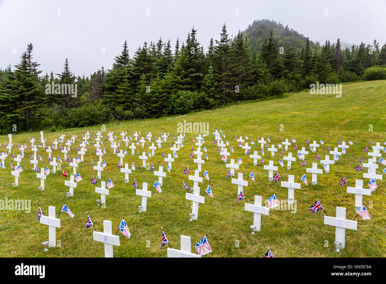 Memorial crosses hi-res stock photography and images - Alamy
