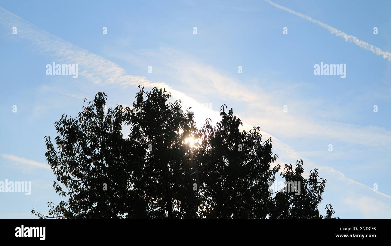 Sun gazing hi-res stock photography and images - Alamy