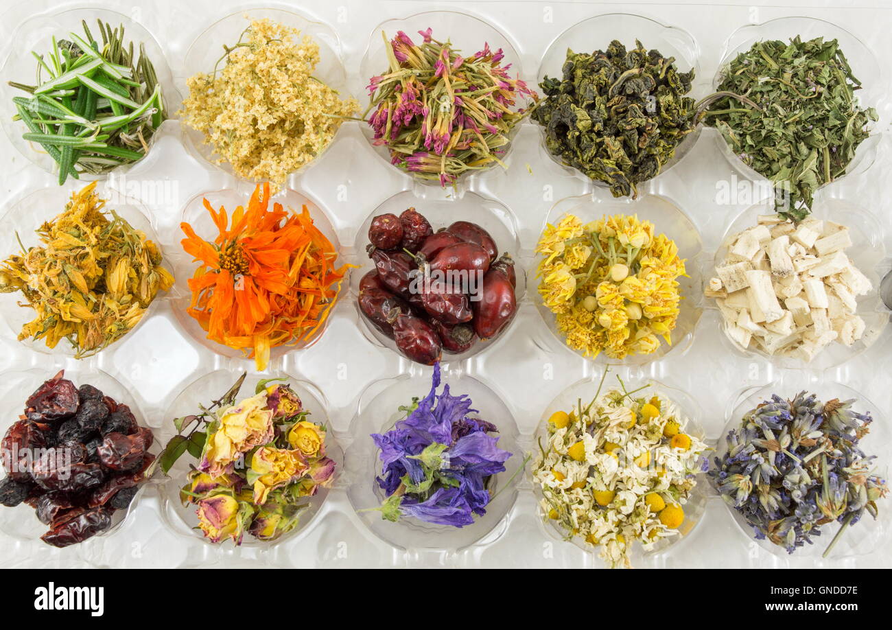 Various dried plants for making a perfect tea Stock Photo - Alamy
