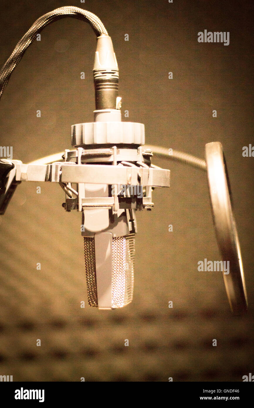 Professional sound recording audio studio microphone and anti pop ... Professional sound recording audio studio microphone and anti pop ...