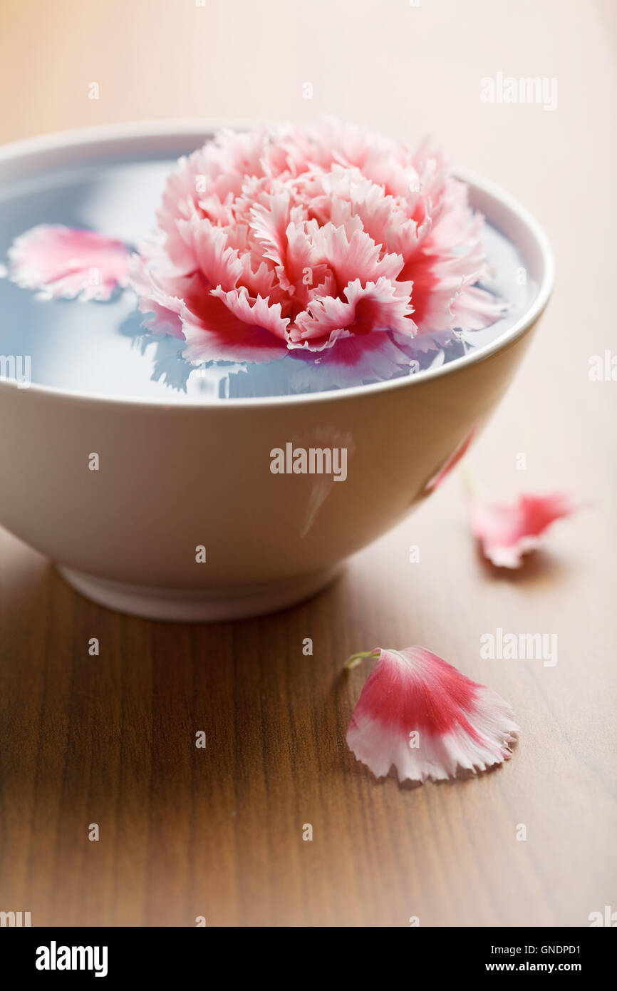 flower floating in white bowl. spa background Stock Photo - Alamy