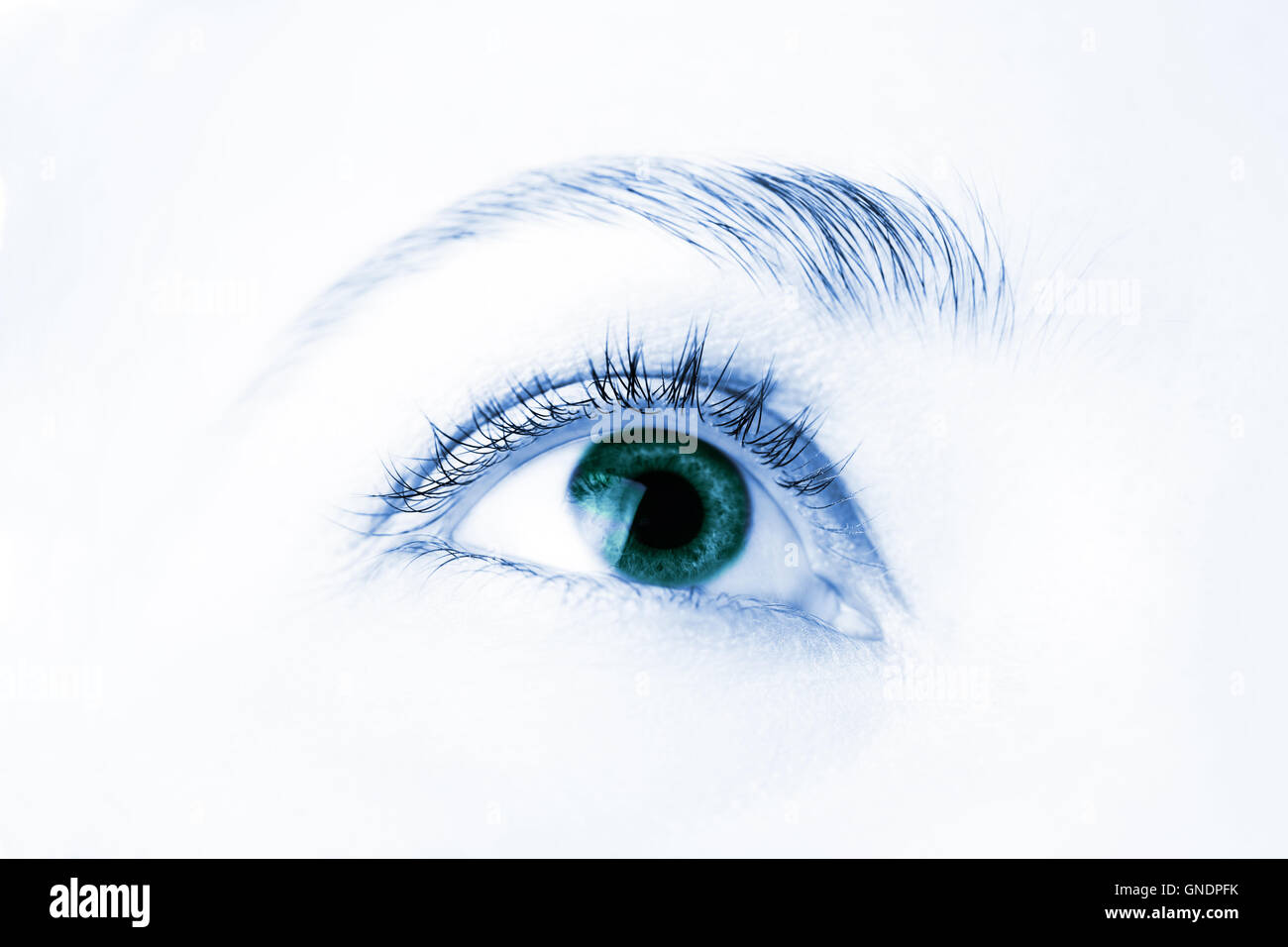 Human wide open blue eye hi-res stock photography and images - Alamy