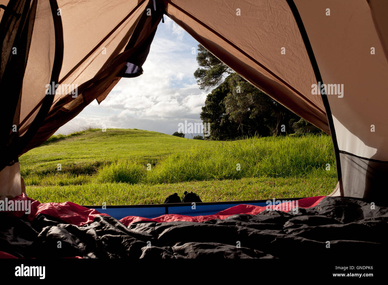 Campsite nature view from inside a tent Stock Photo - Alamy