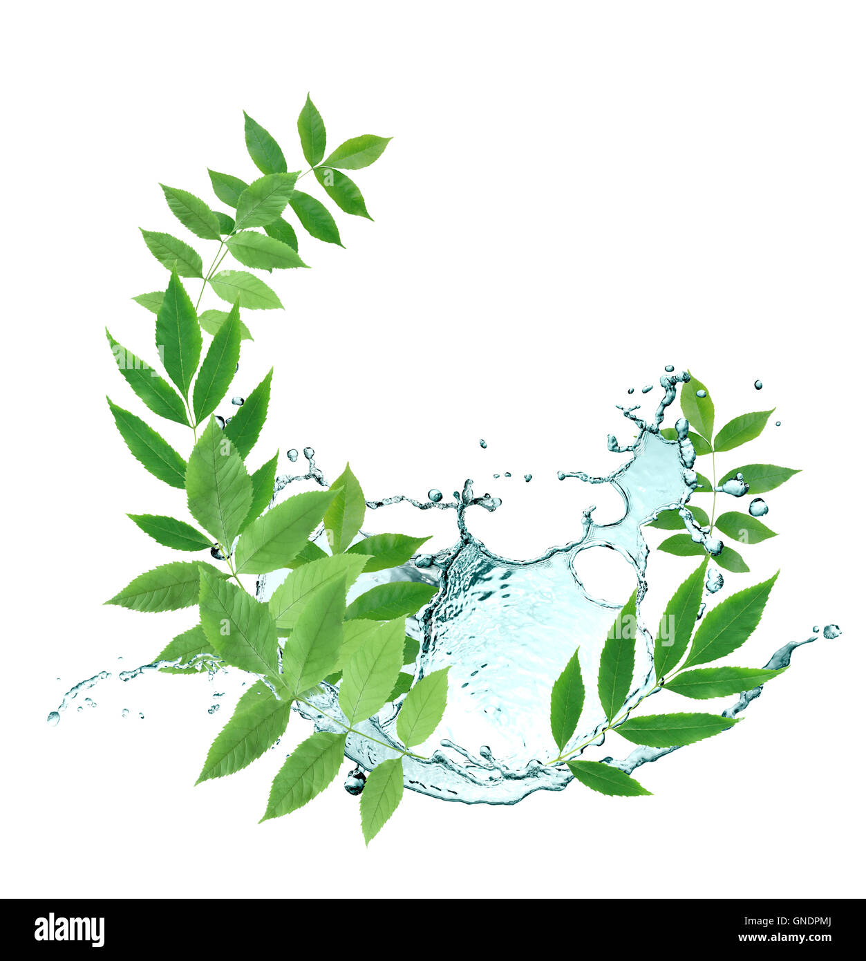 Leaves And Water Stock Photo - Alamy