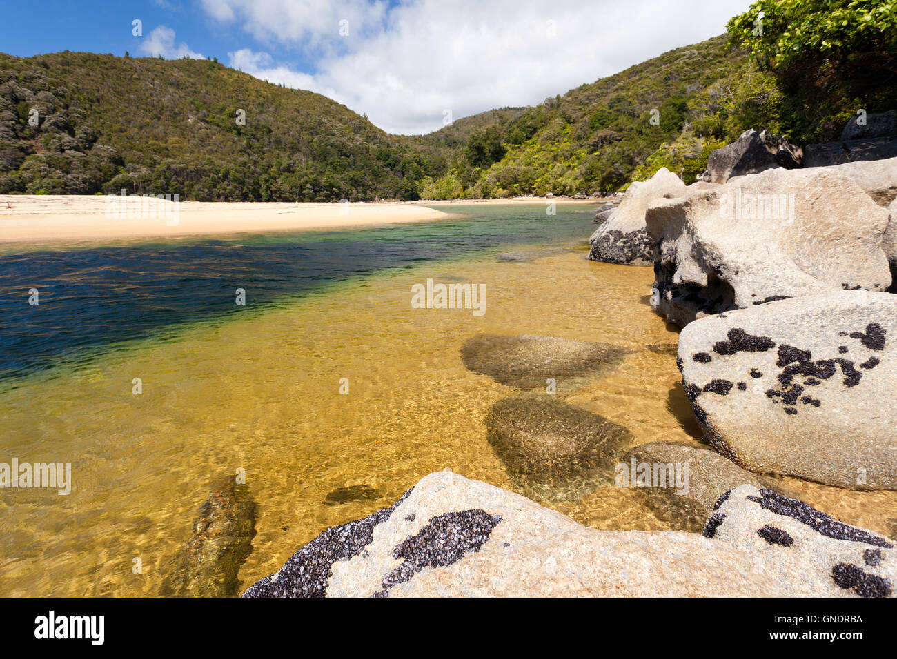 Granite boulders in Abel Tasman NP, New Zealand Stock Photo - Alamy