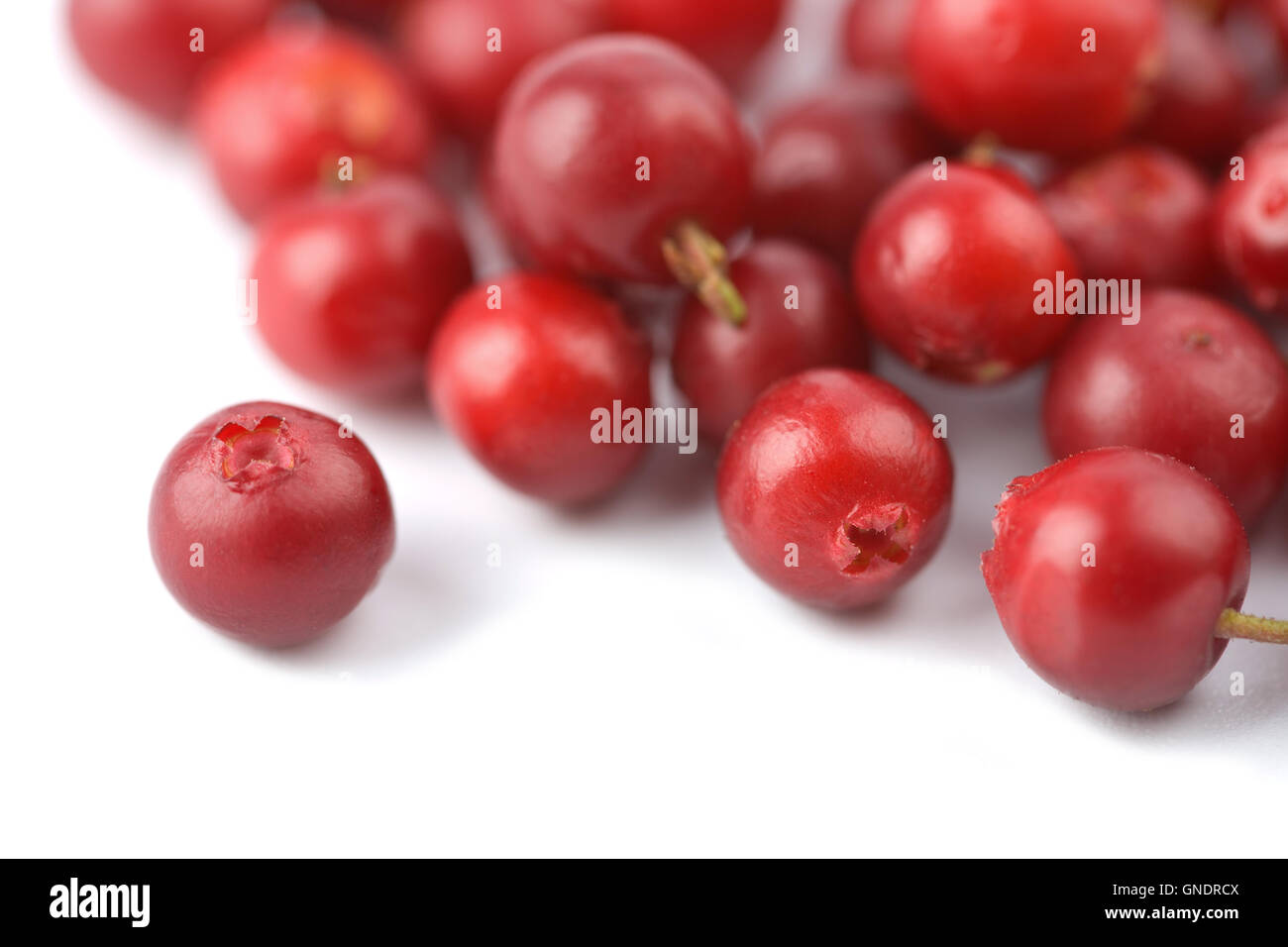 Billberries hi-res stock photography and images - Alamy