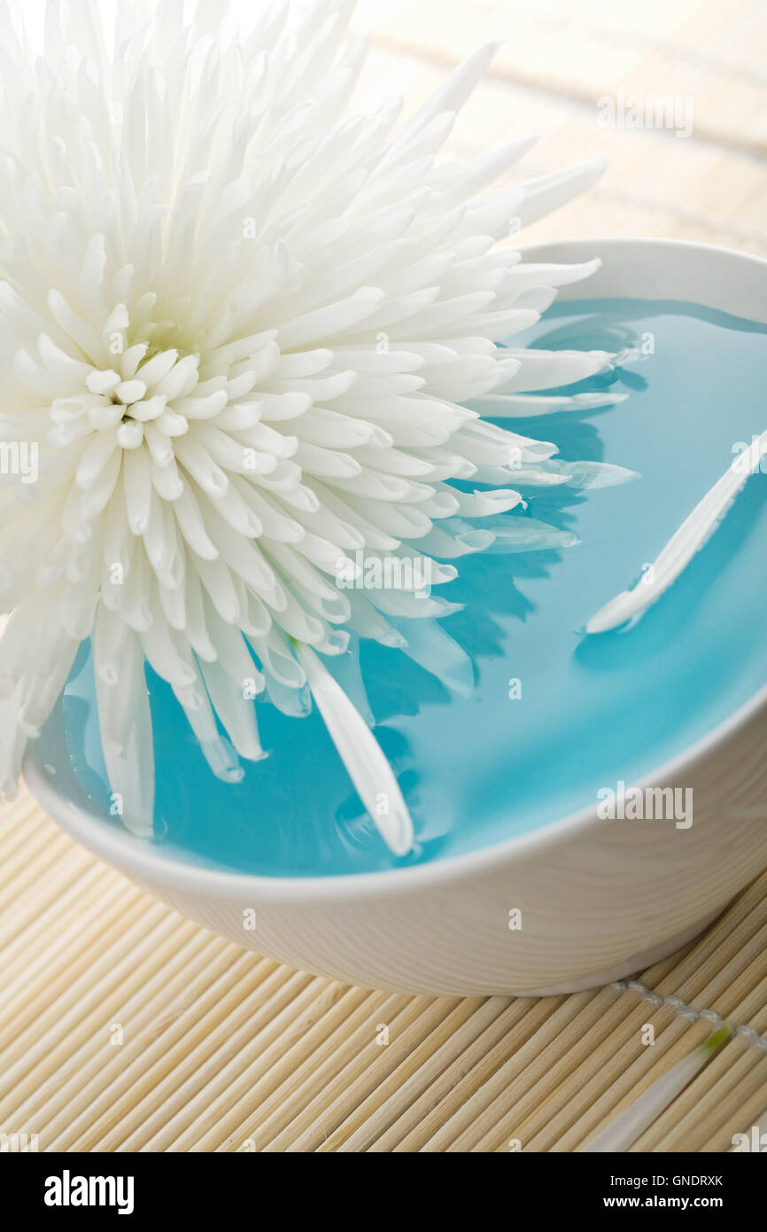 white flower floating in bowl. spa background Stock Photo - Alamy