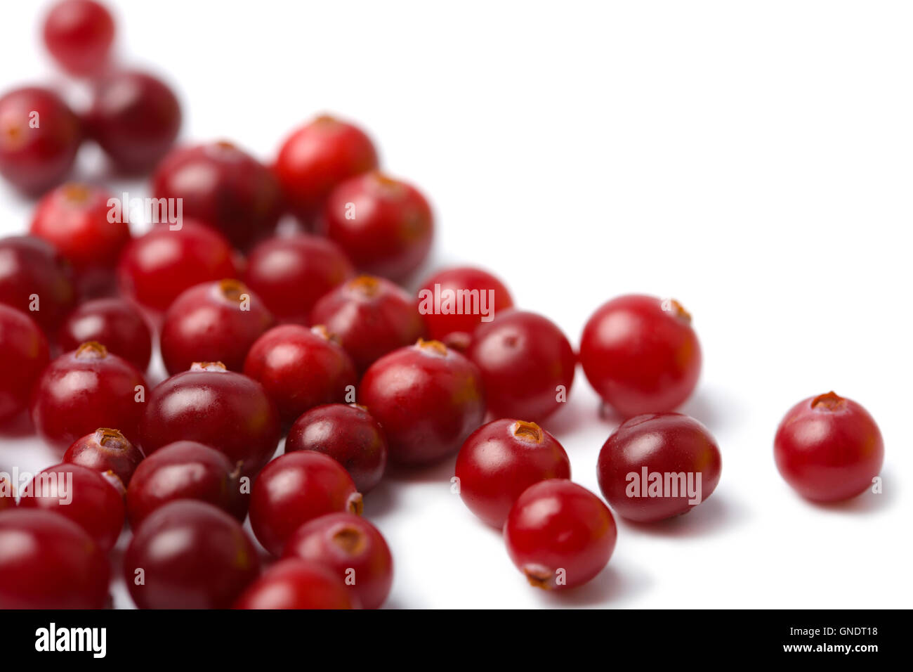 red cranberries isolated Stock Photo - Alamy