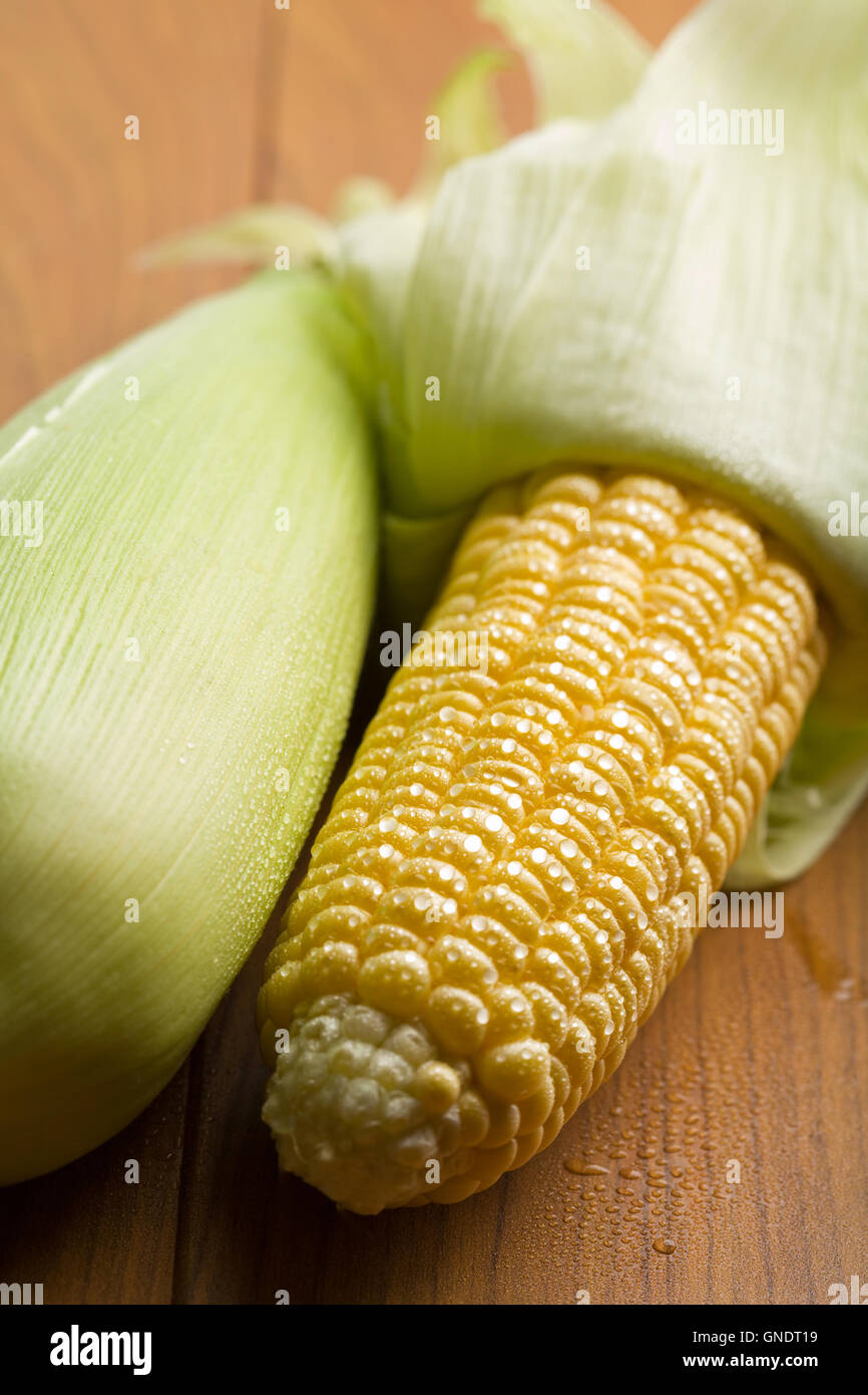 fresh maize with water droplets Stock Photo - Alamy