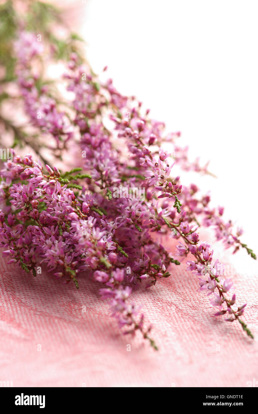 Heather bouquet hi-res stock photography and images - Alamy