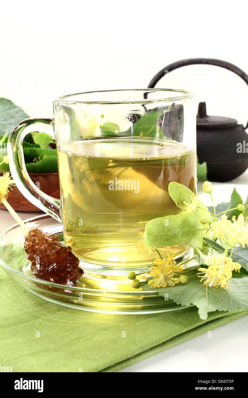 Tea plants blossoms hi-res stock photography and images - Alamy