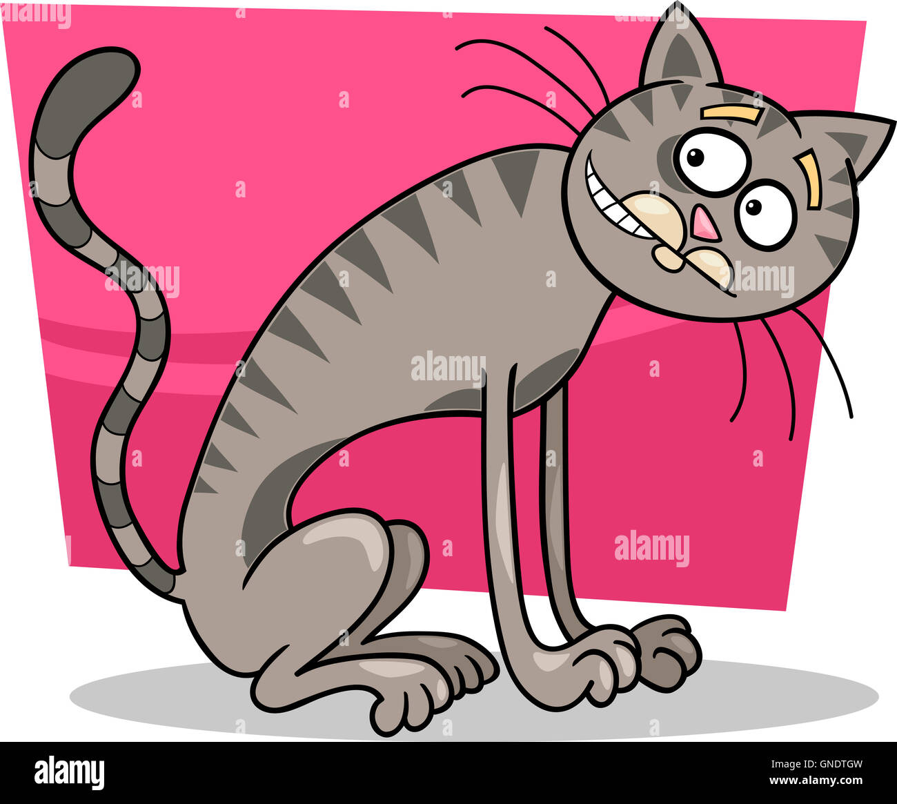 thin gray tabby cat Stock Photo - Alamy