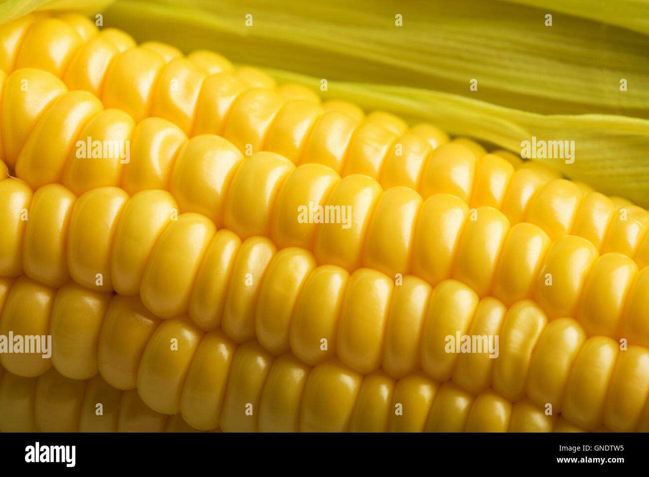macro of fresh maize Stock Photo - Alamy