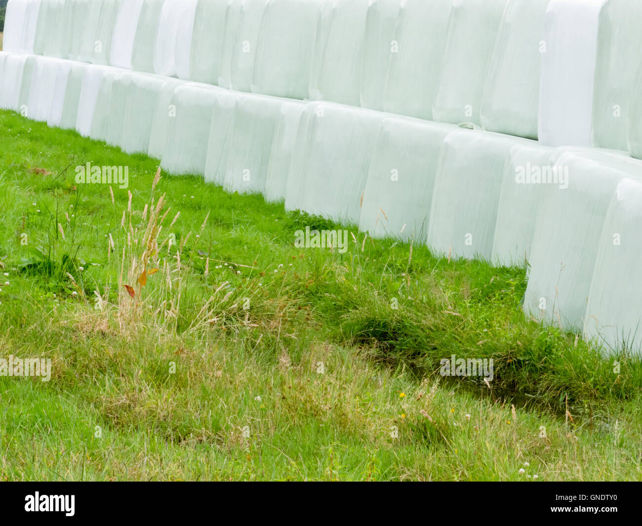 Fermentation hay hi-res stock photography and images - Alamy