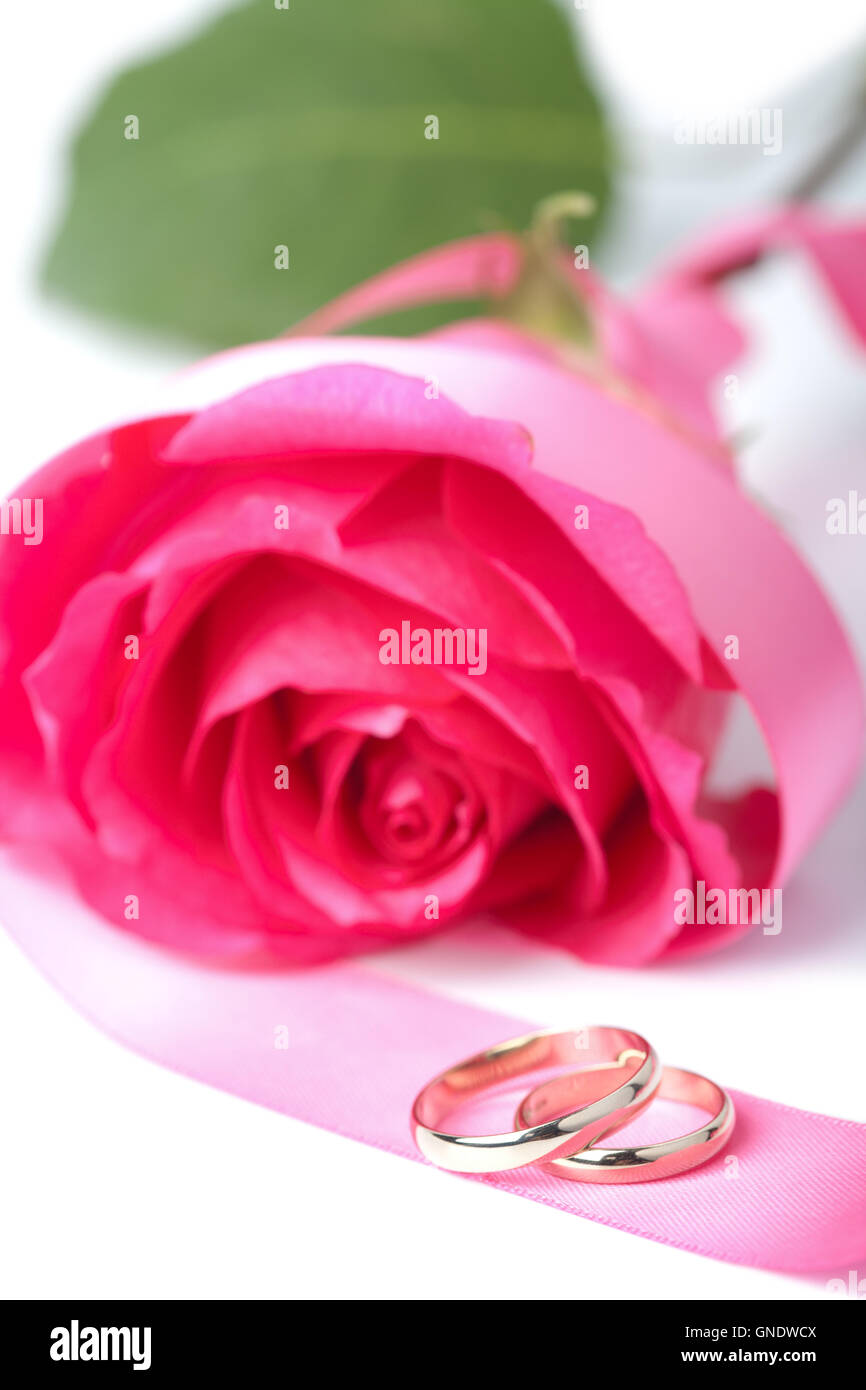 Gold wedding rings and pink rose Stock Photo - Alamy