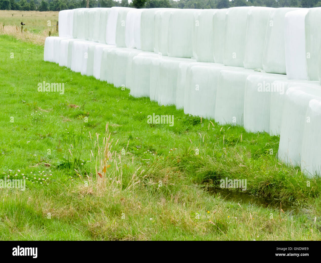 Fermentation hay hi-res stock photography and images - Alamy