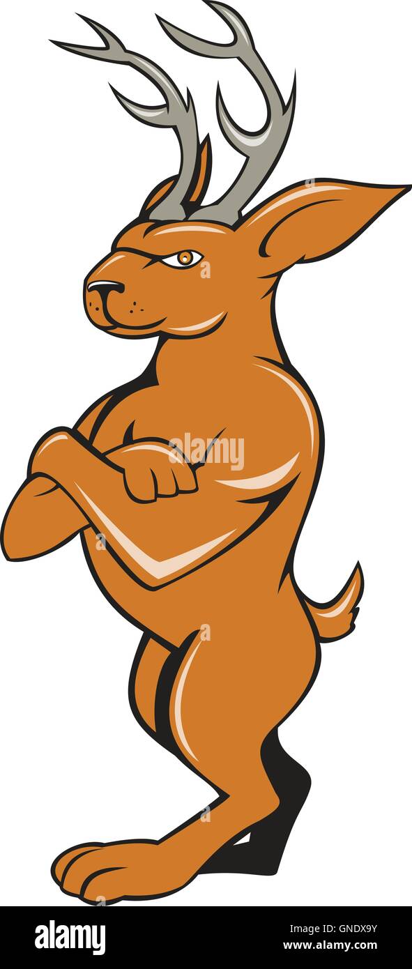 Jackalope Arms Crossed Standing Cartoon Stock Vector Image & Art - Alamy