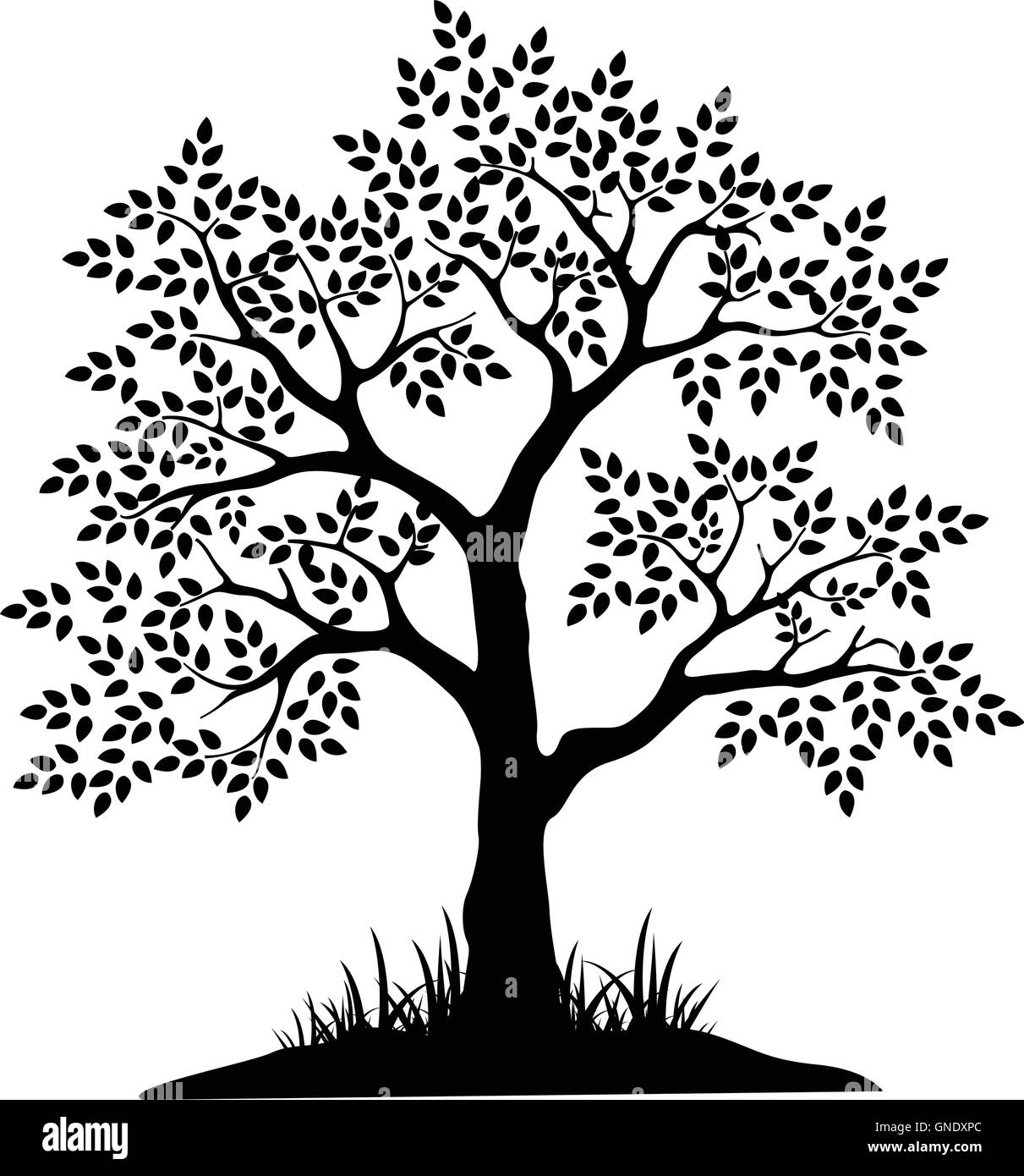 Black And White Tree Design