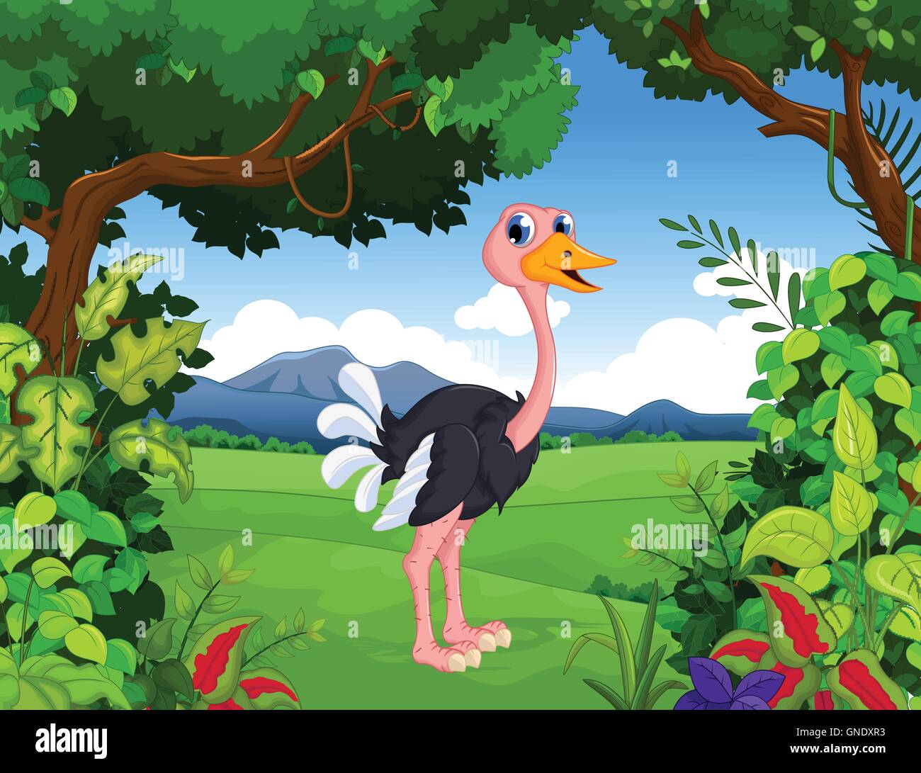 Ostrich Cartoon Premium Vector | Funny Ostrich Animal Cartoon Smiling