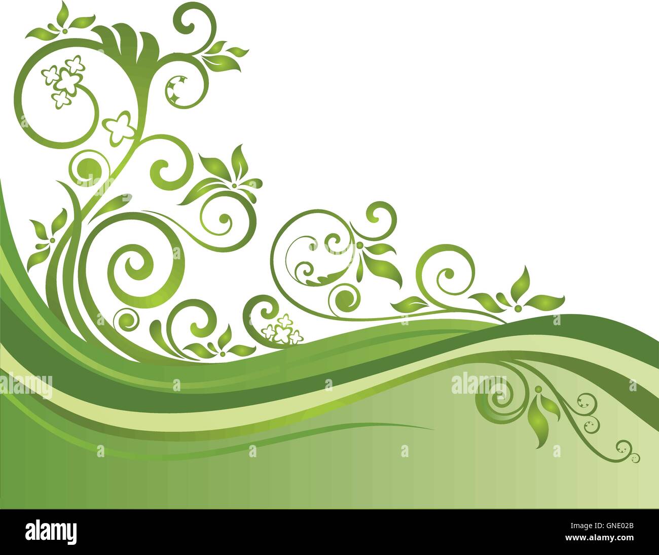 Green floral banner isolated Stock Vector Image & Art - Alamy